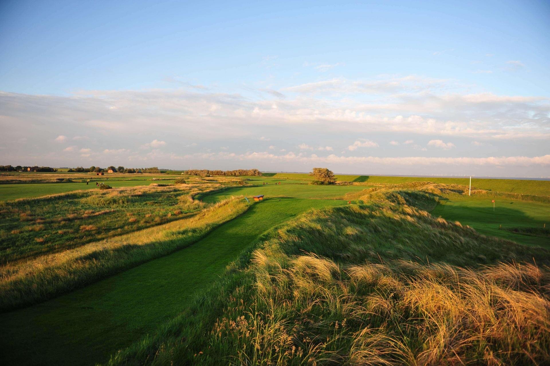 Golfen auf Eiderstedt