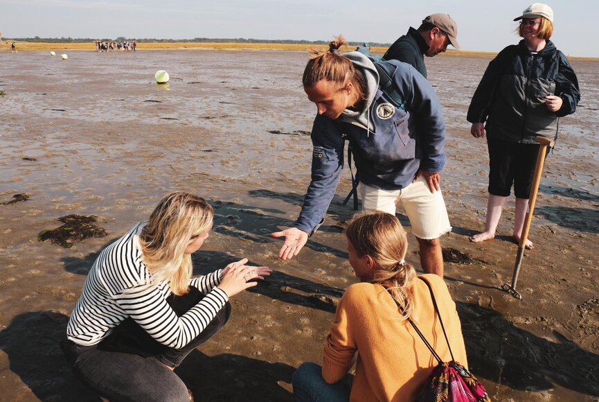 Wattenmeer | St. Peter-Ording & Eiderstedt