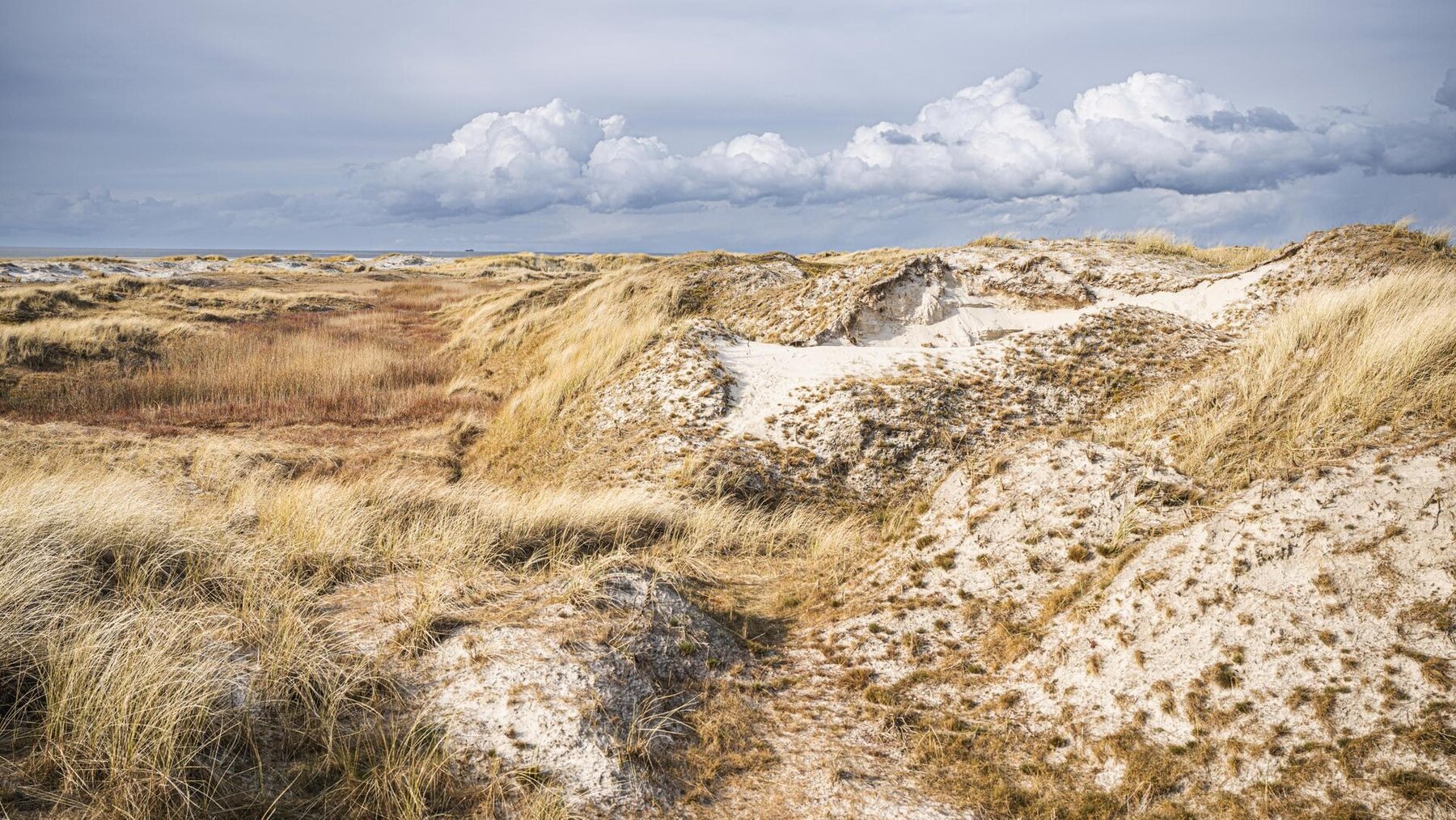 FAQ zu St. Peter-Ording & Eiderstedt