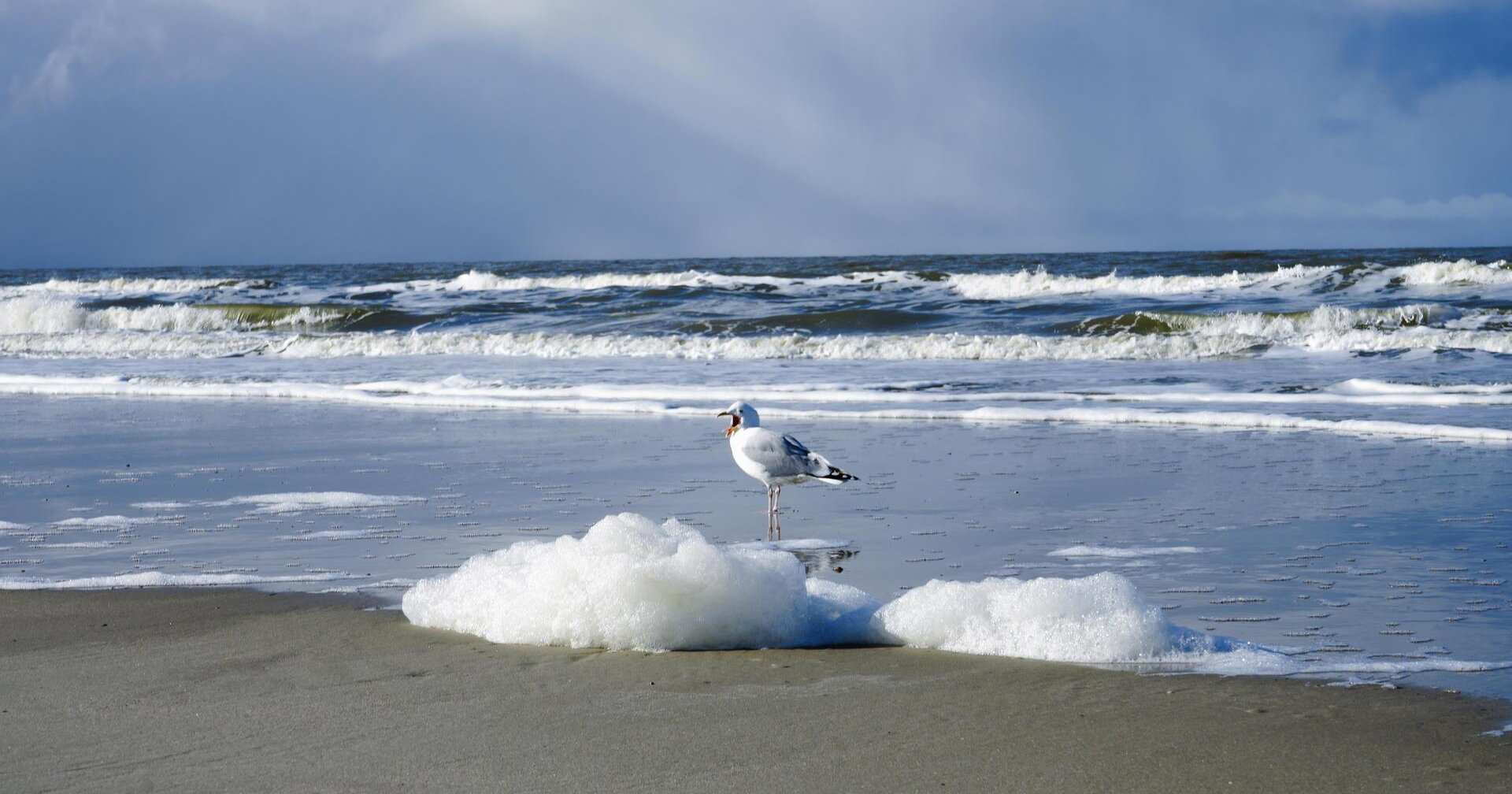 Aktuelles und Geschichten | St. Peter-Ording & Halbinsel Eiderstedt