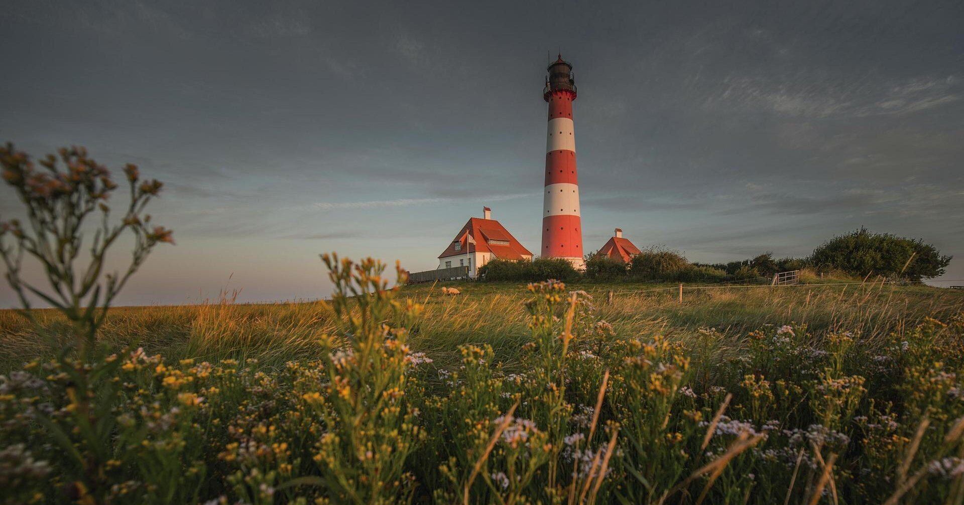 Halbinsel Eiderstedt entdecken – Urlaub an der Nordsee