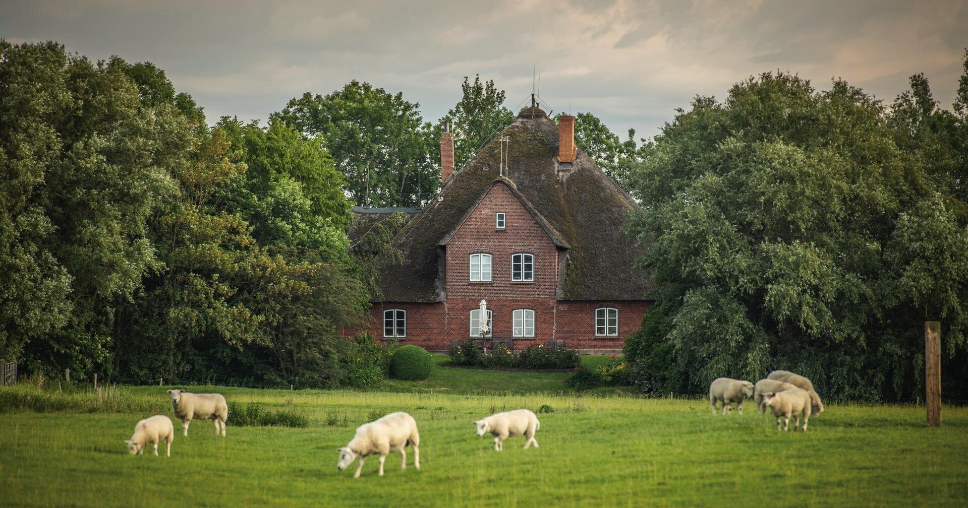Unterkünfte | St. Peter Ording & Eiderstedt