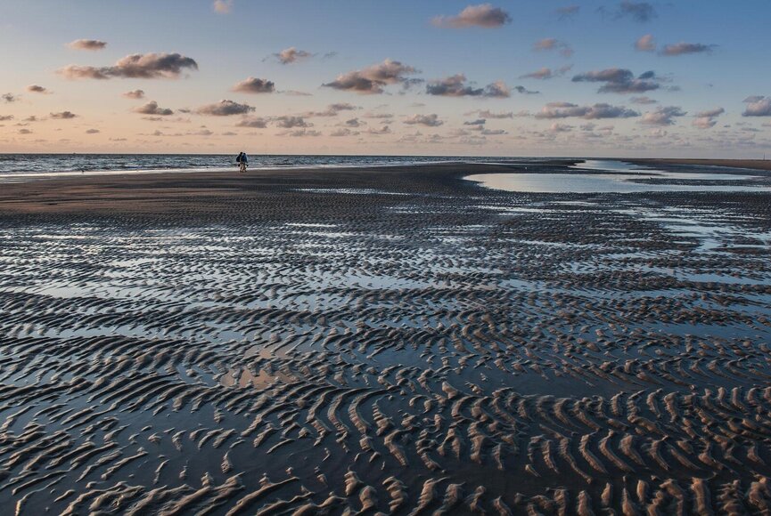 Natur & Nationalpark | St. Peter-Ording & Eiderstedt